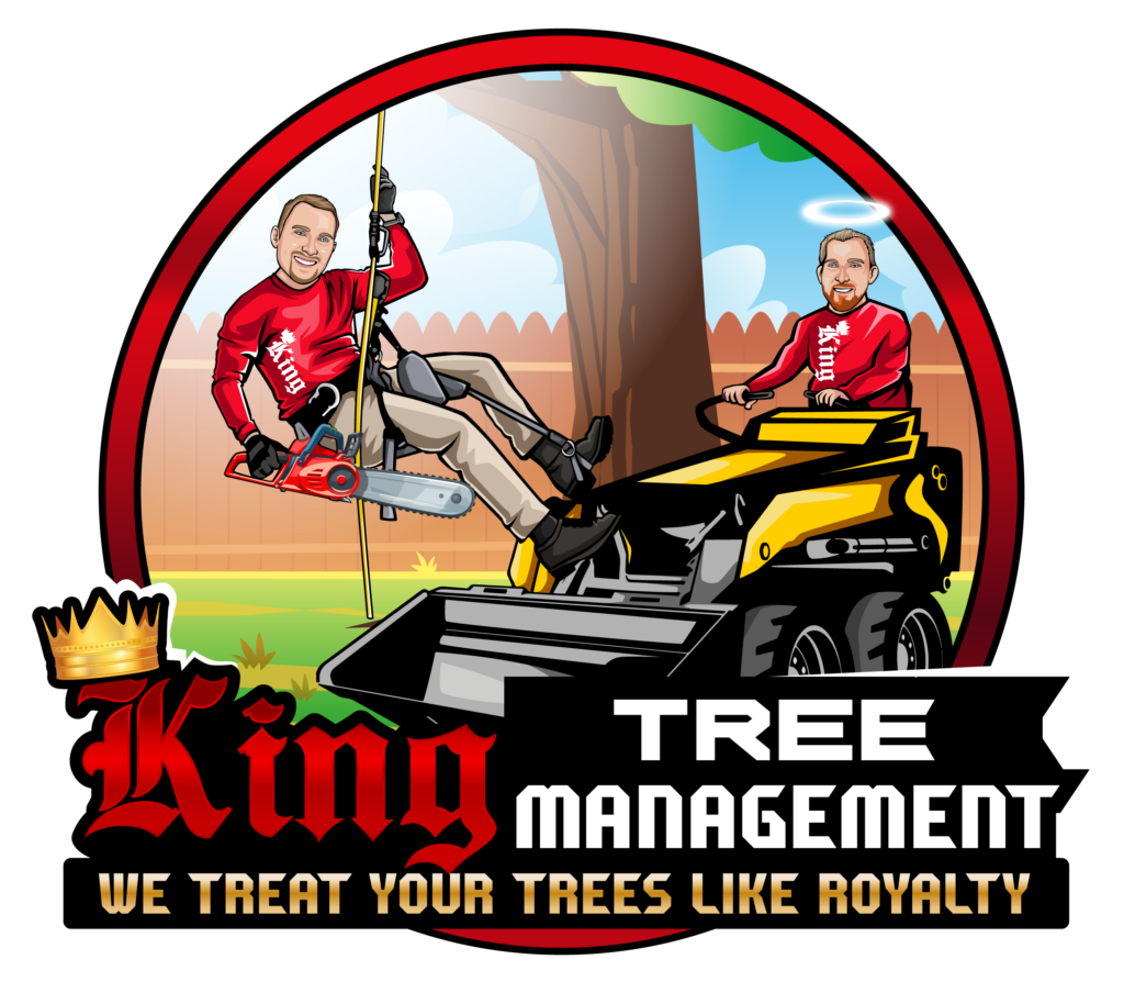 King Tree Management - Vero Beach’s Trusted Tree Care Experts